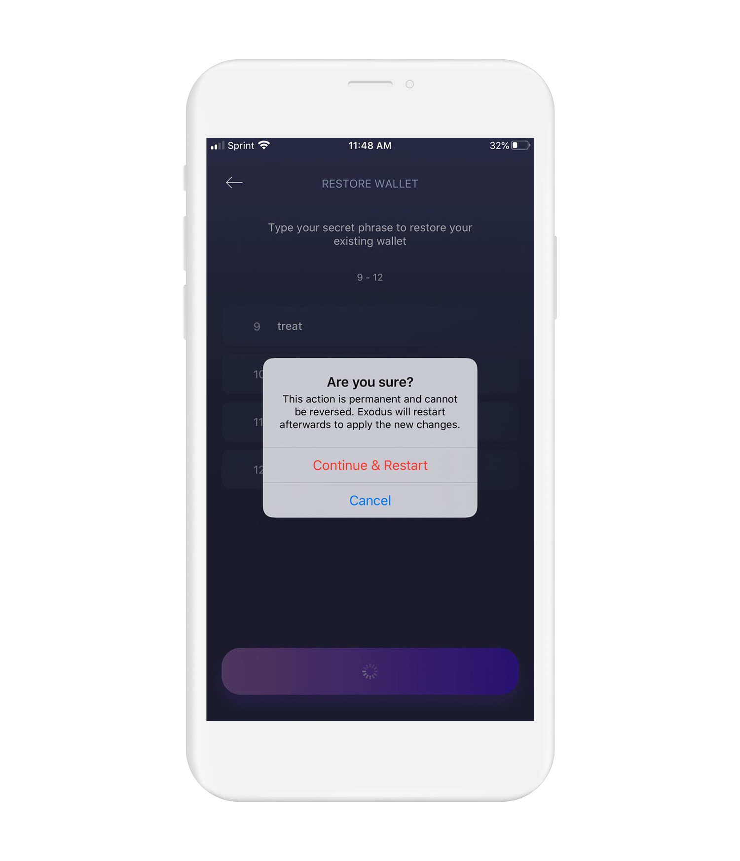 Exodus Wallet for iOS: Secure Setup & Guide | Vault12 - Vault12
