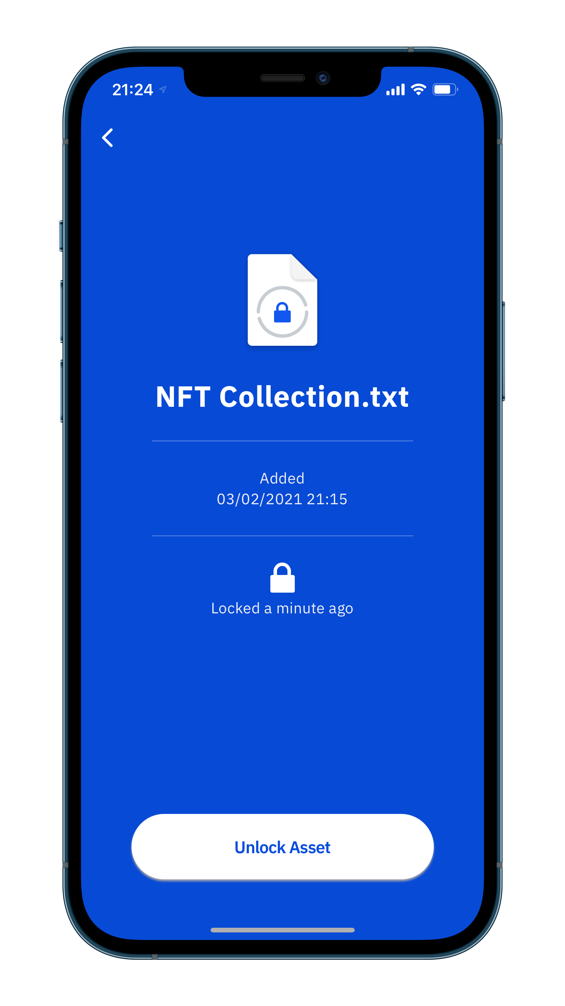 NFT Security: Protect Your Digital Art & Assets | Vault12 Guide - Vault12