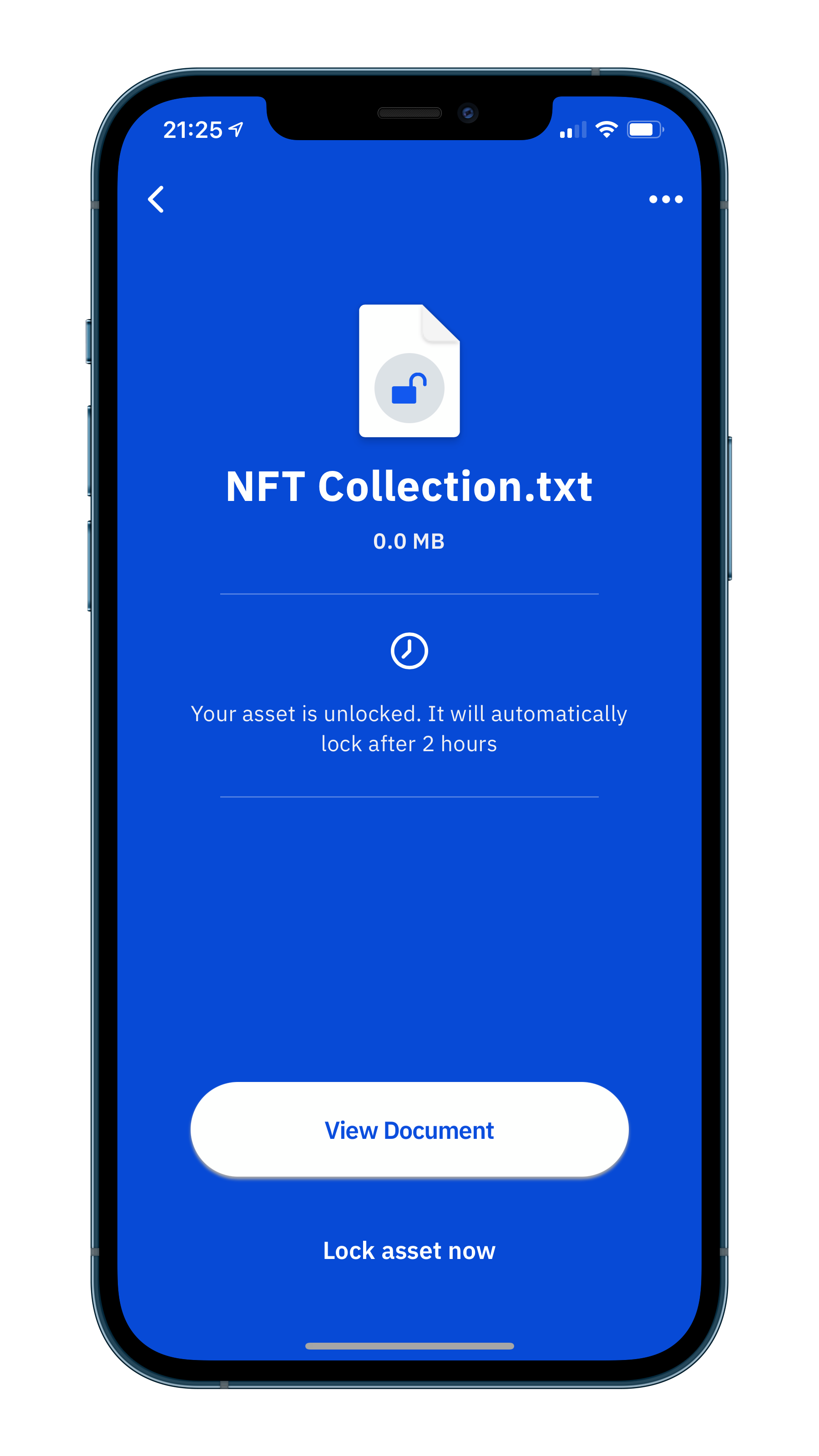 NFT Security: Protect Your Digital Art & Assets | Vault12 Guide - Vault12